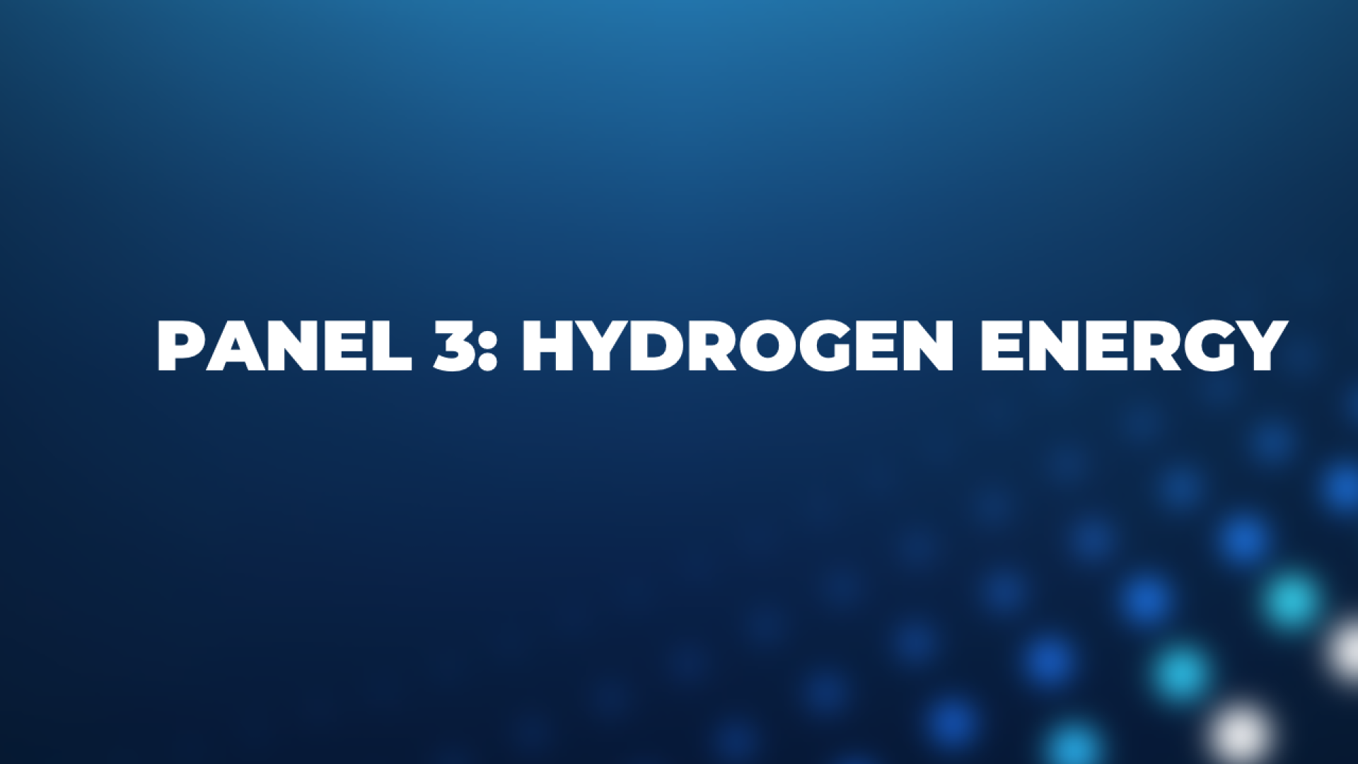 Panel: Hydrogen Energy