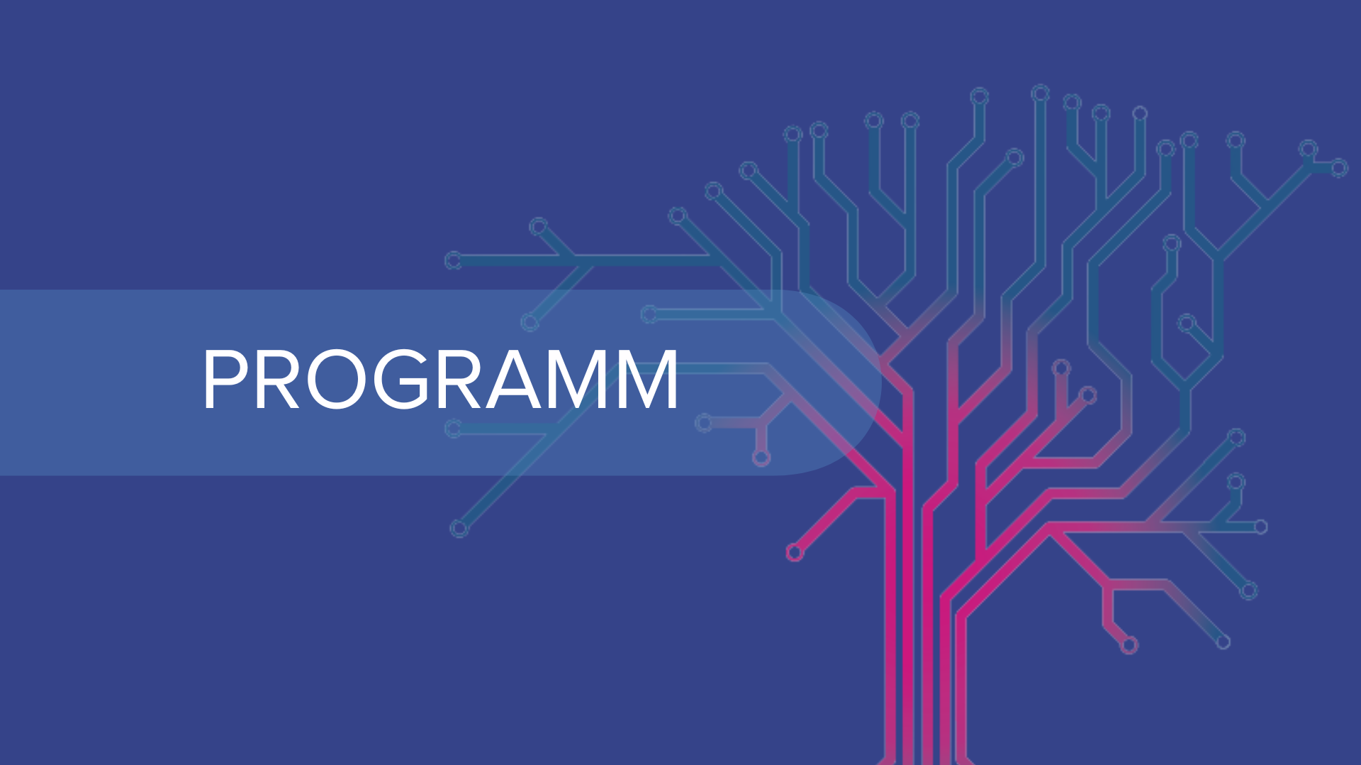 Programm