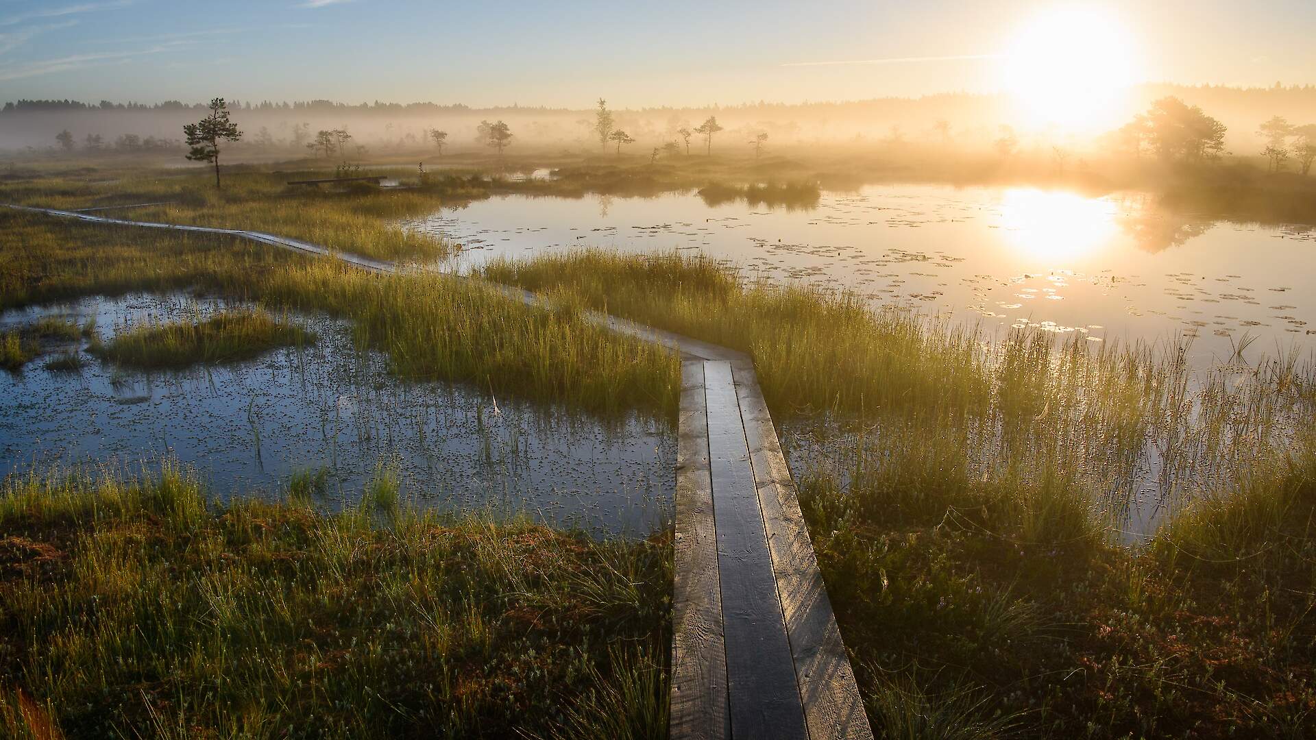 EXCURSION 1: The Soomaa National Park and Kuresoo bog